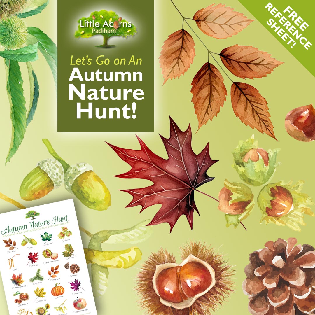 FREE Butterfly Spotting Poster & Activity for Children & Under-5s