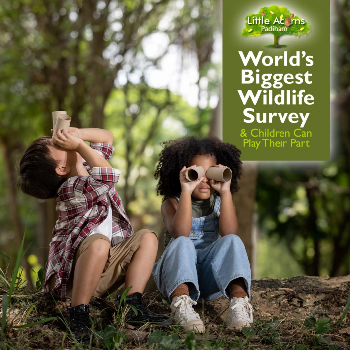 Bird Spotting Activity for Kids (with Free Poster!)