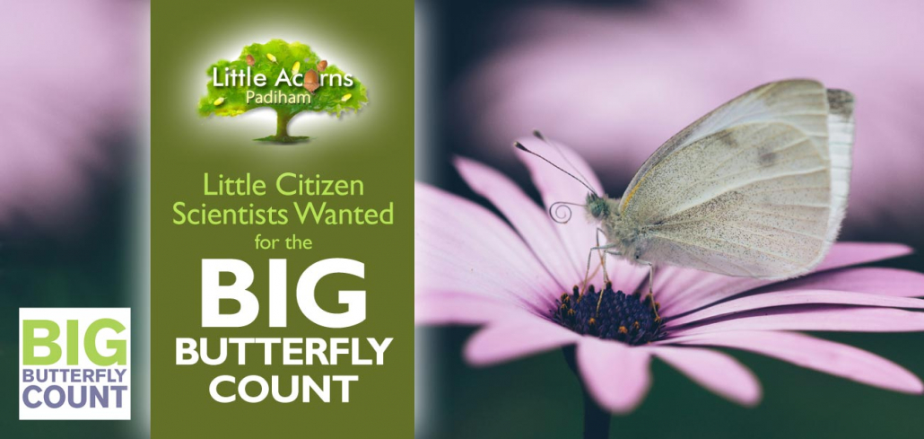 Little Citizen Scientists Wanted for the Big Butterfly Count 2024