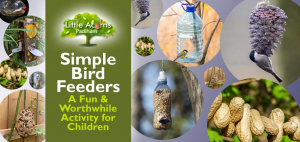 Simple Bird Feeders – A Fun & Worthwhile Activity for Children