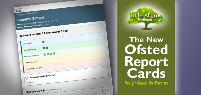 Ofsted Report Cards Category | Little Acorns Nursery School, Padiham