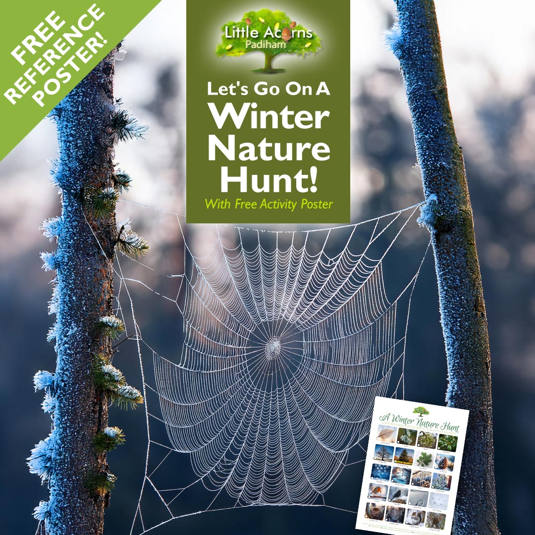 Bird Spotting Activity for Kids (with Free Poster!)